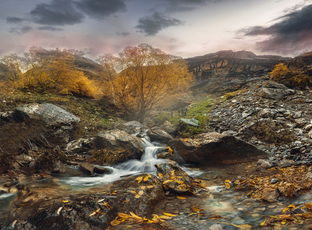 Prominent color by Samal Tofik / 500px