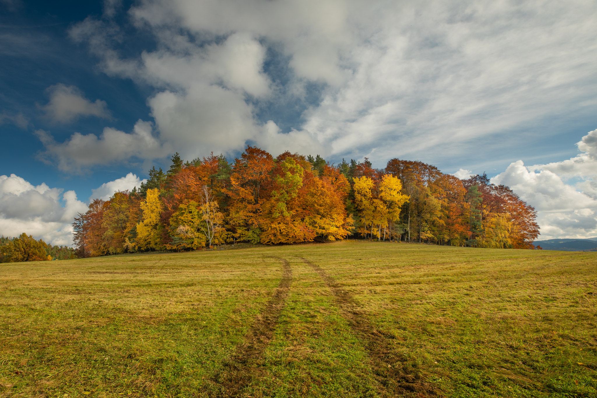 Autumn Forest Edge with Golden Fields Under Blue Sky | landscape photo ...