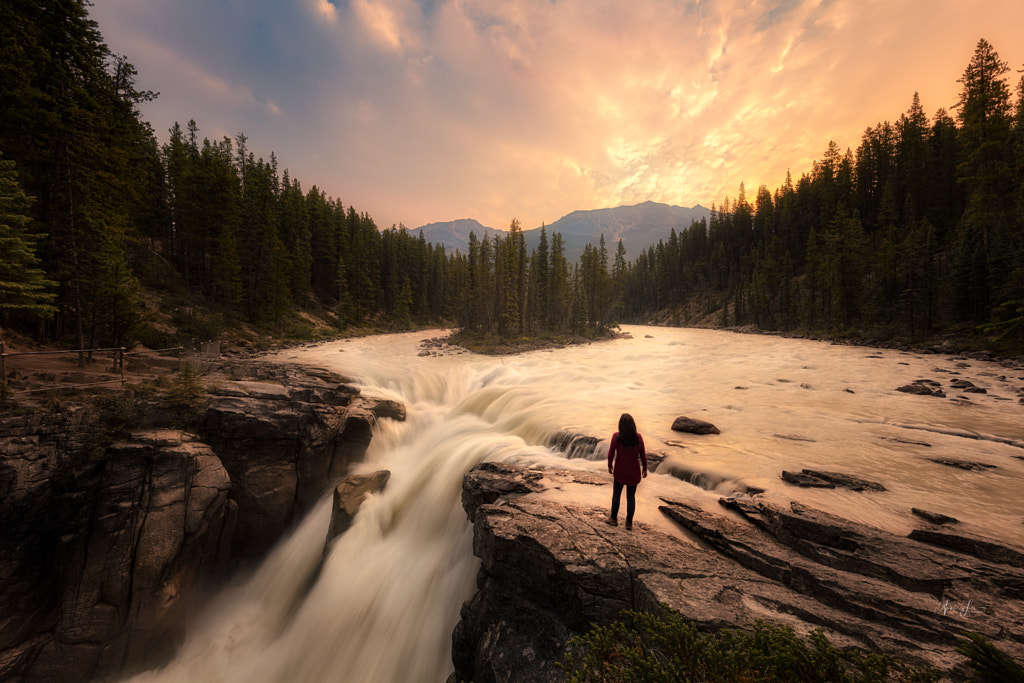 In the Sunshine by Annie Fu / 500px