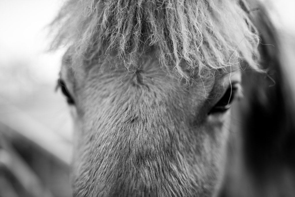 Look in my eyes by Daniel Wehner / 500px