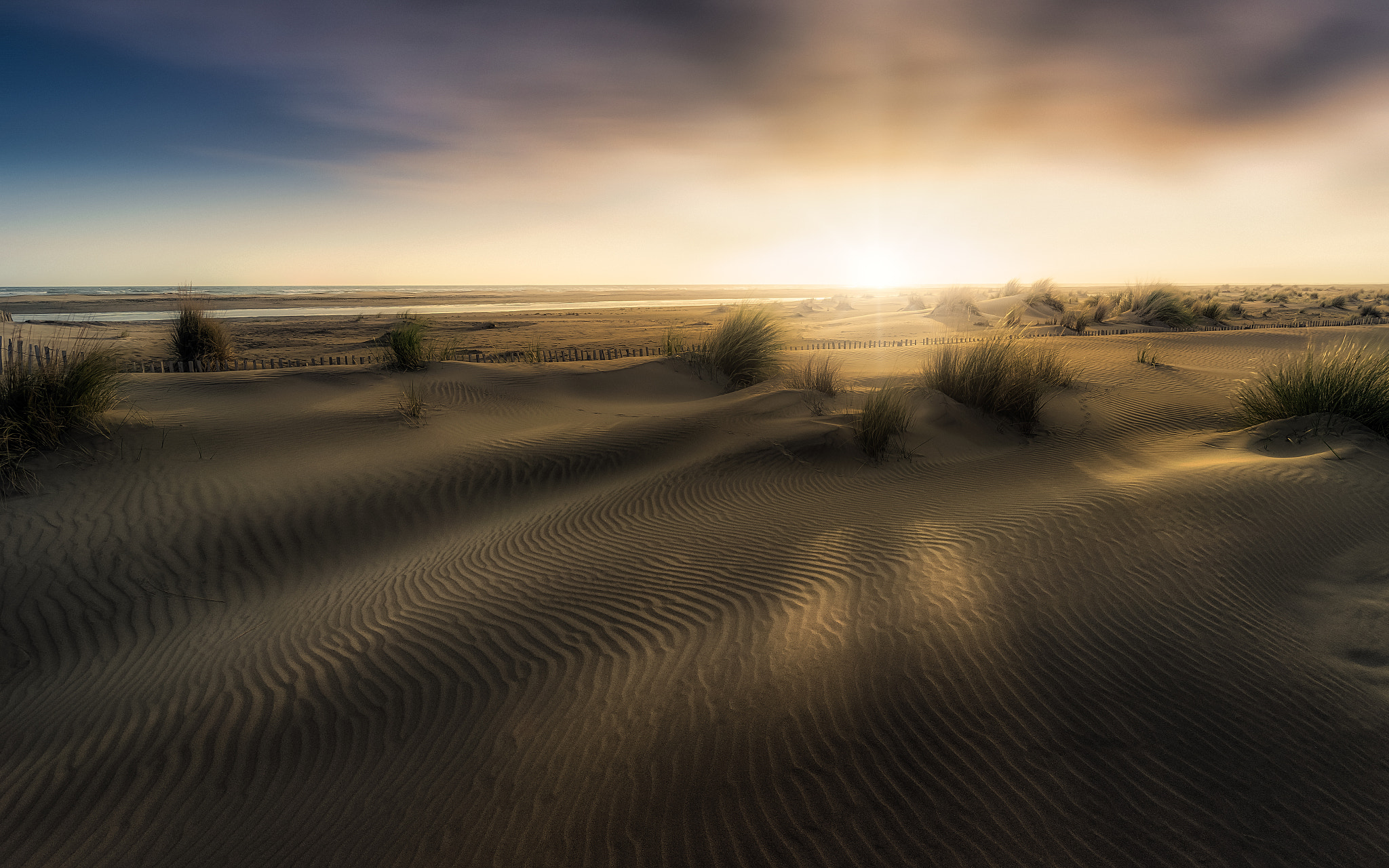 Barkane* 2020 by David Parenteau / 500px