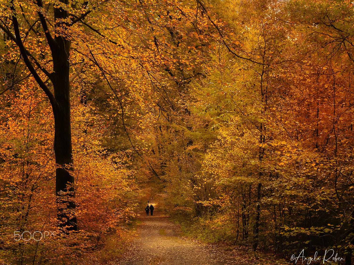 Autumn mood by Angela Raben / 500px