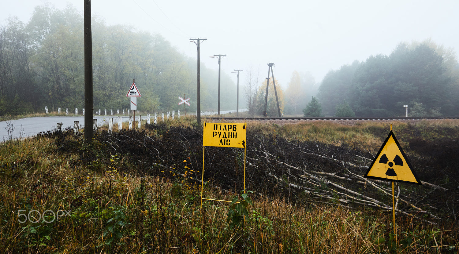 Shadow of Chernobyl: Red Forest by Sergey / 500px