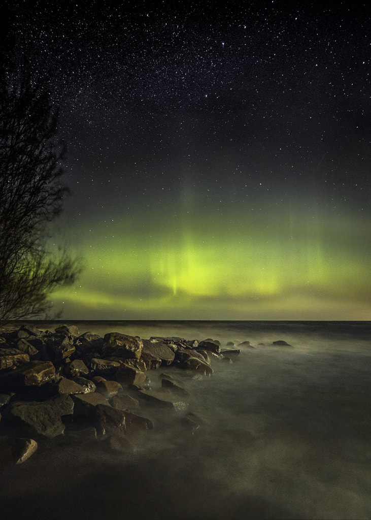 It is both a blessing And a curse To feel everything So very deeply by ...