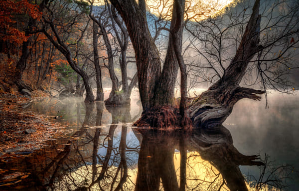 Jaewoon U's Photos & Galleries | 500px