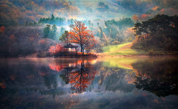 Jaewoon U's Photos & Galleries | 500px
