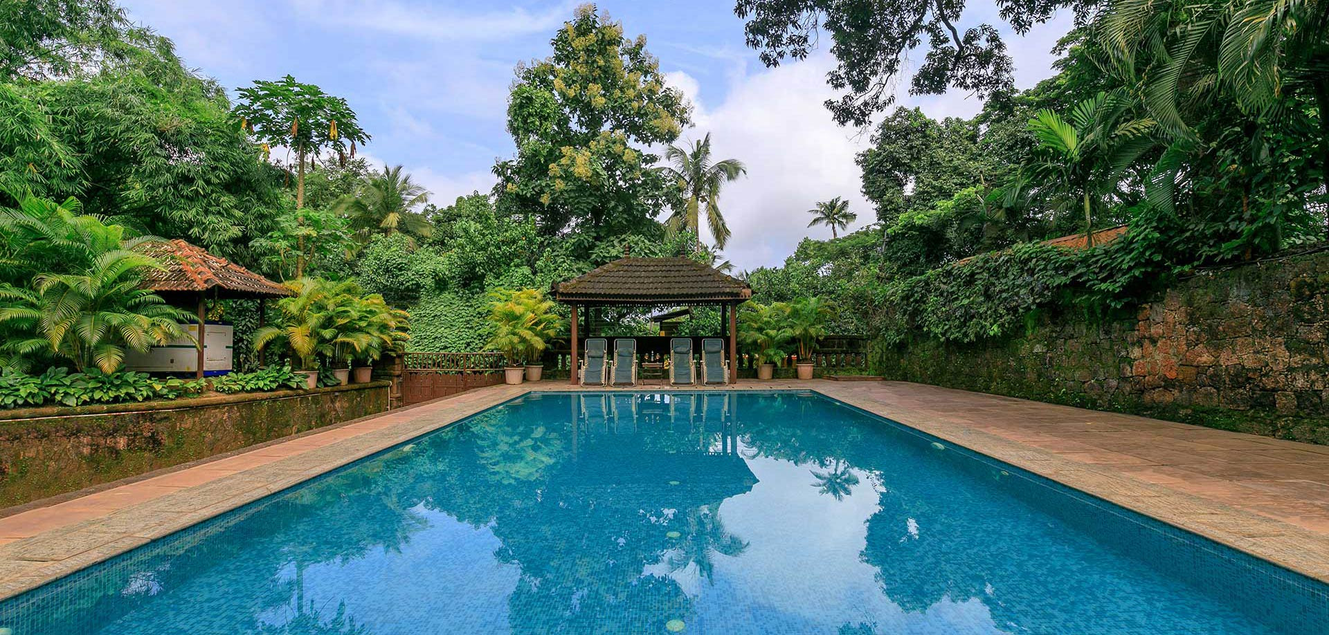 Tropical Resort Swimming Pool Surrounded by Lush Greenery | city photo ...