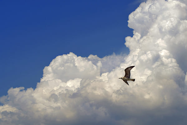 Stefano Pascucci's Photos & Galleries | 500px