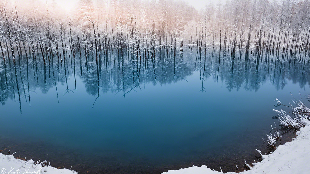 Blue Pond - November.2020 by Kent Shiraishi / 500px