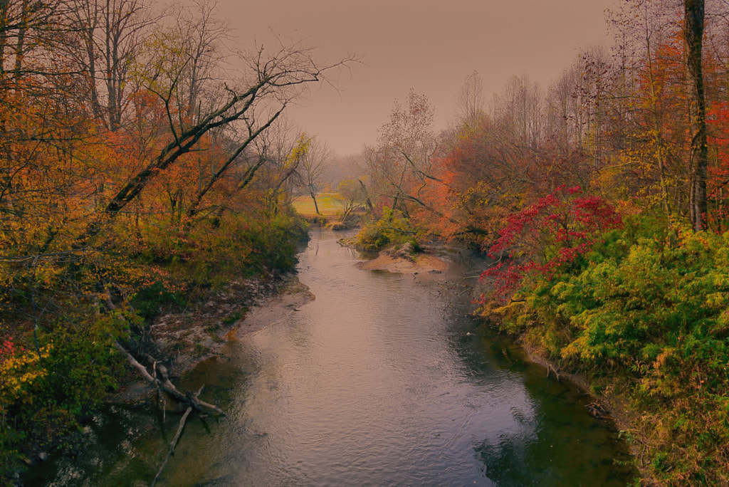 Fall creek- N.C by Richard Brown / 500px