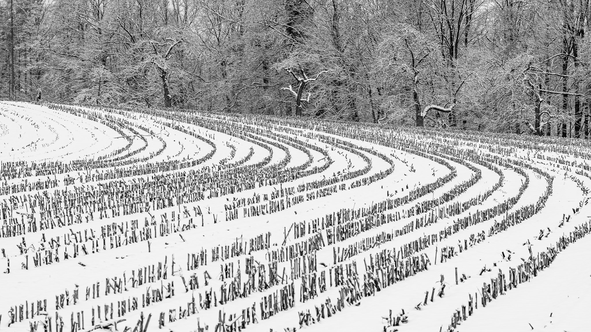 Winter Lines by Alex Fremer / 500px