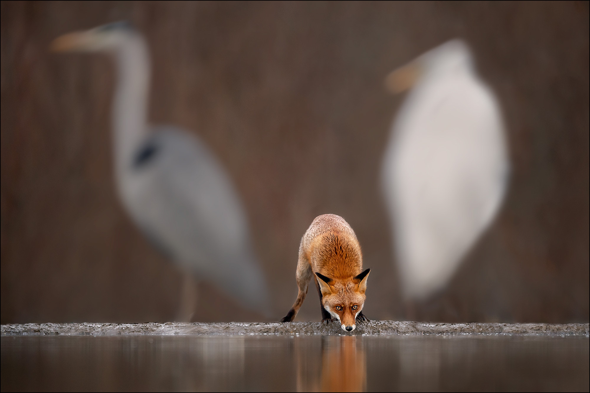 between by Georg Scharf / 500px