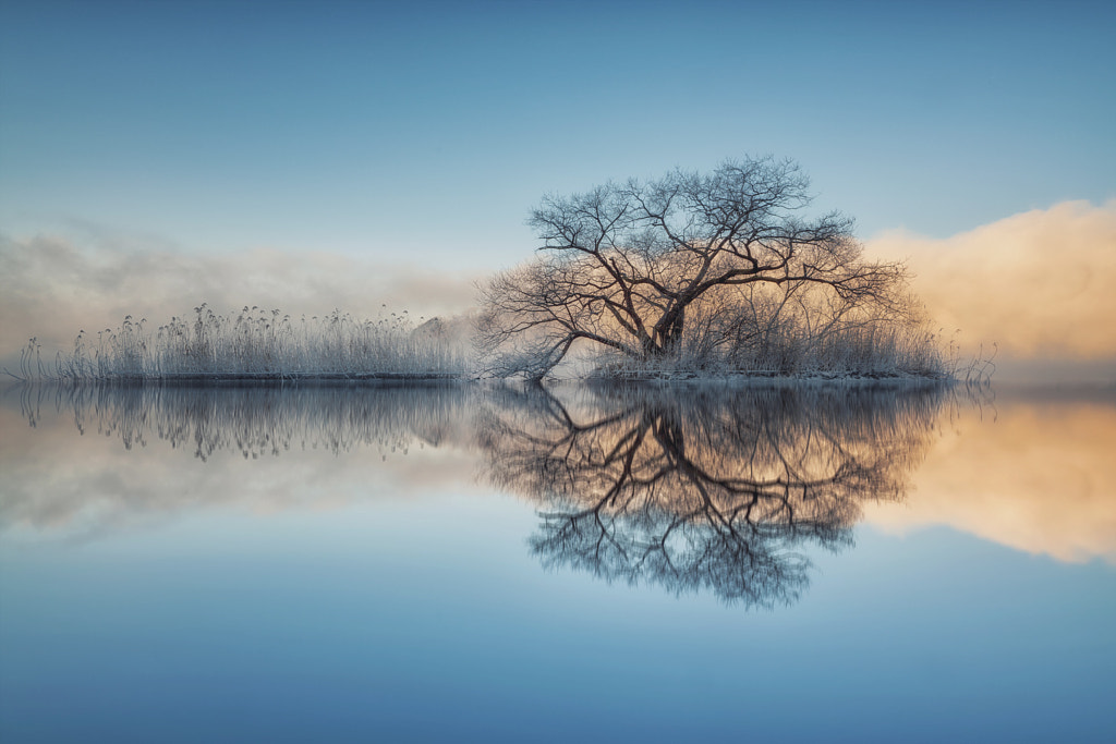 Winter story by Jaewoon U / 500px