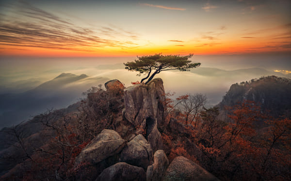 Jaewoon U's Photos & Galleries | 500px