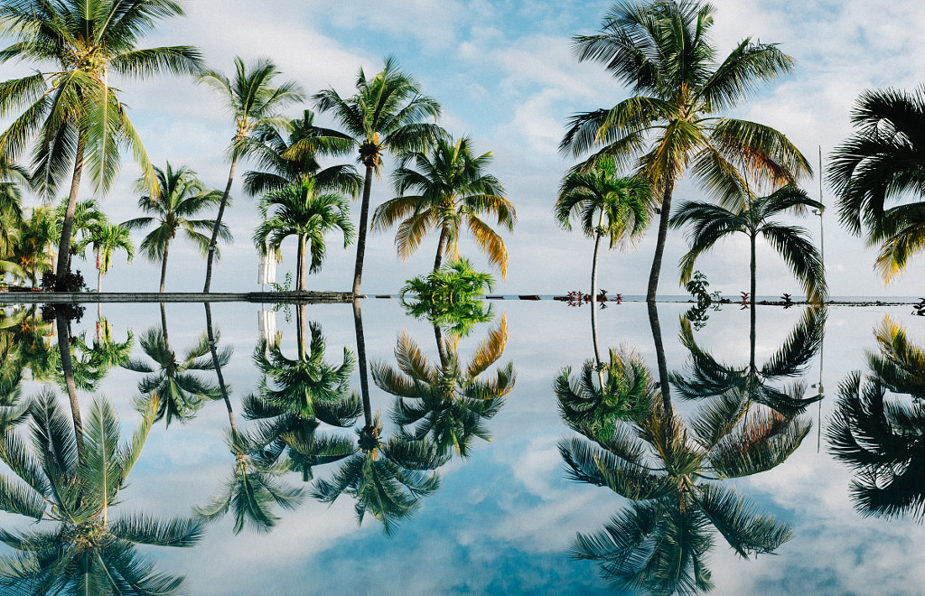 Nature by Mig Savage / 500px