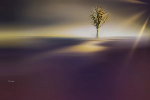 Red by Vincent Favre | 500px