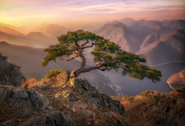Jaewoon U's Photos & Galleries | 500px