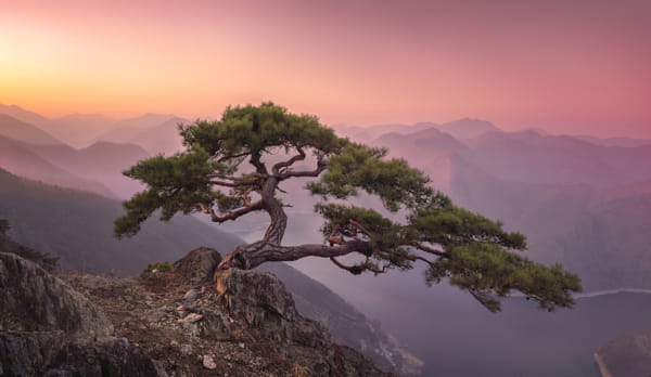 Jaewoon U's Photos & Galleries | 500px