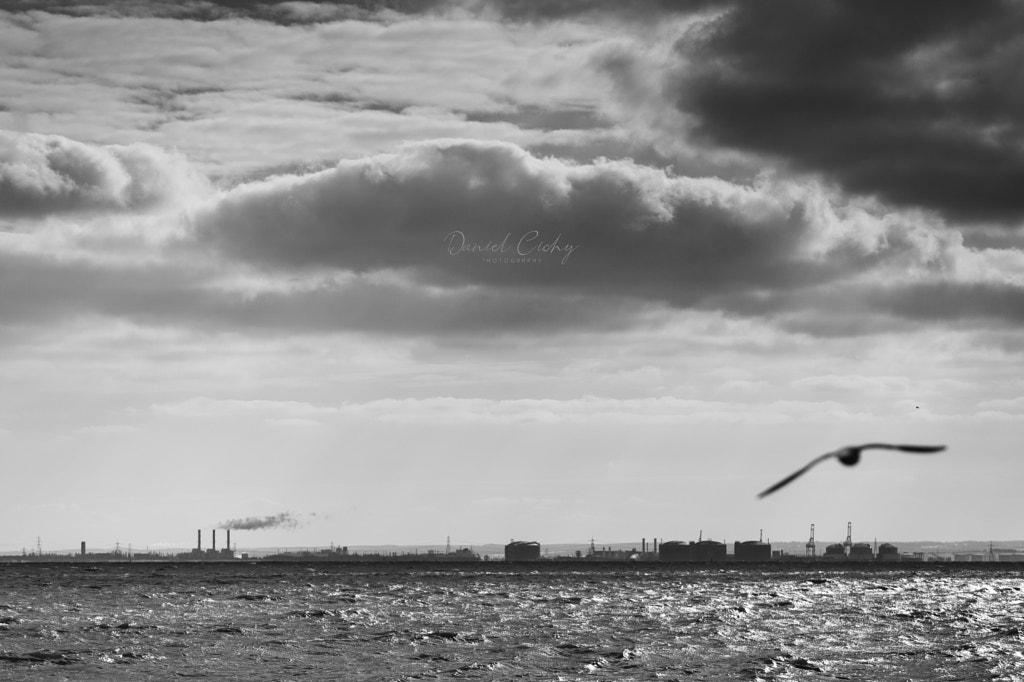 Southend, UK by Daniel Cichy / 500px
