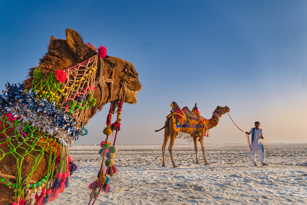 White Ran festival by Rahul Wedpathak / 500px