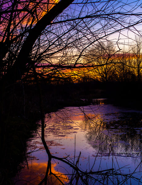 Daniel Ion (Daniel_Ion) Profile / 500px