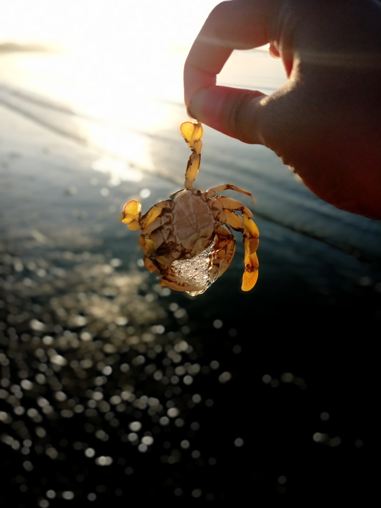 Scenery by judyan magtibay / 500px