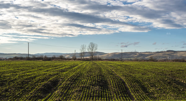 Daniel Ion (Daniel_Ion) Profile / 500px