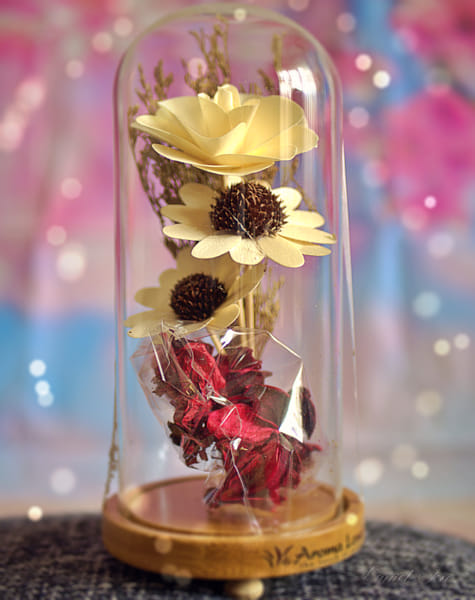 Daniel Ion (Daniel_Ion) Profile / 500px