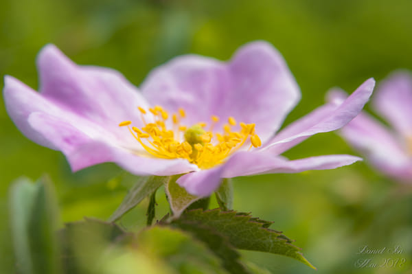 Daniel Ion (Daniel_Ion) Profile / 500px