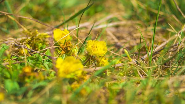 Daniel Ion (Daniel_Ion) Profile / 500px