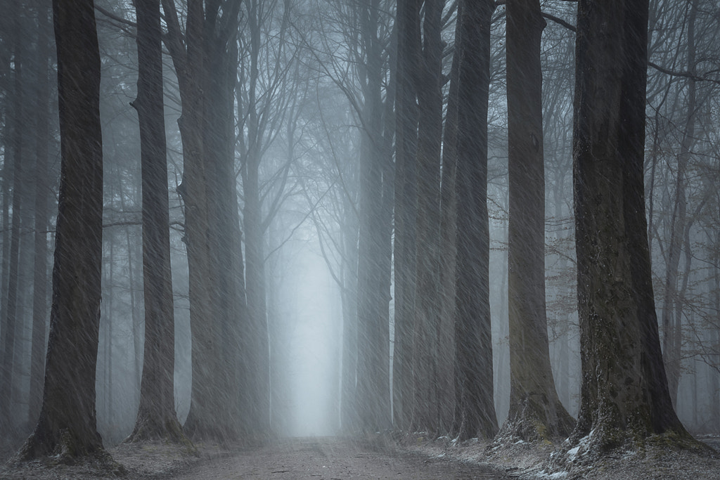 snow blizzard by Tom Chesterman / 500px