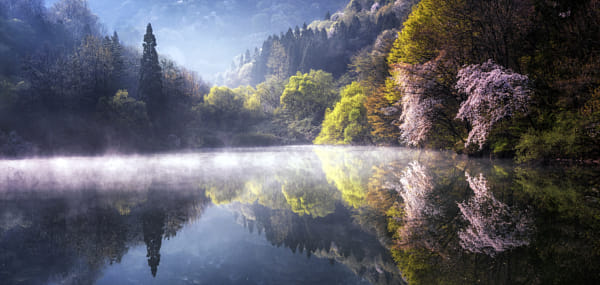 Jaewoon U's Photos & Galleries | 500px