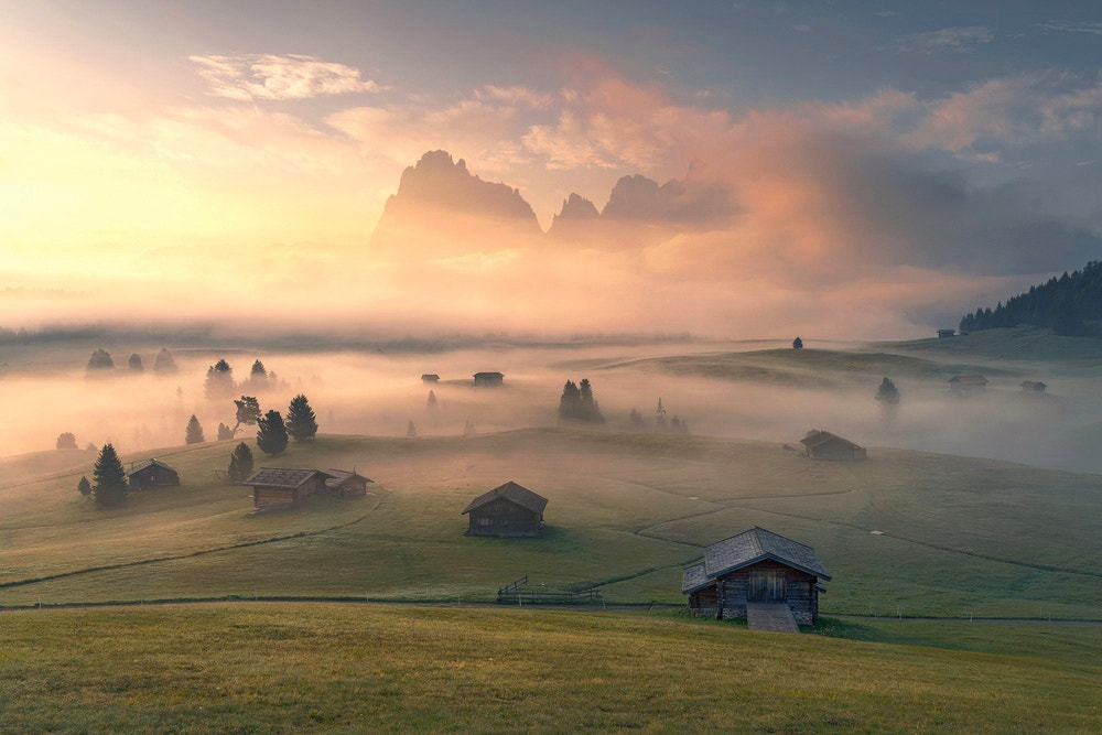 Joy and Revolution by Dino Marsango / 500px