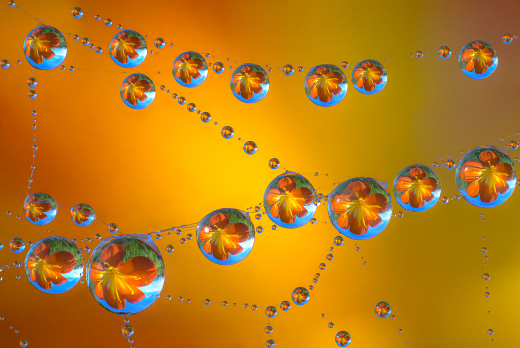 Spring colors by Alberto Ghizzi Panizza / 500px