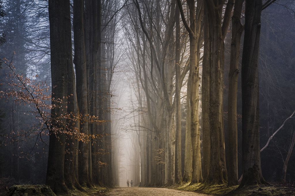 * by Tom Chesterman / 500px