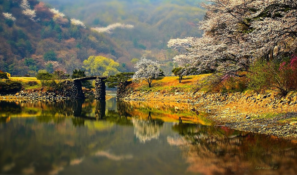 희원 by Jaewoon U / 500px