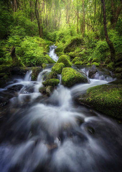Jaewoon U's Photos & Galleries | 500px
