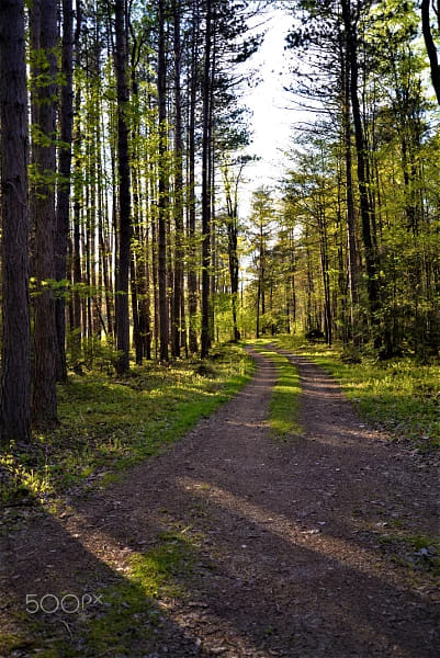Mother's Happiness by ANDREY GUDKOV / 500px