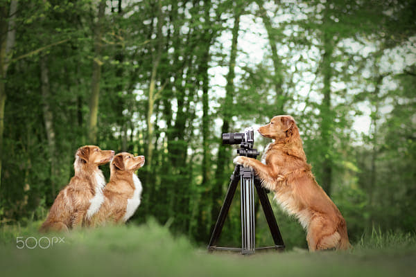 My super photogenic family by Zuzia Paluch | 500px