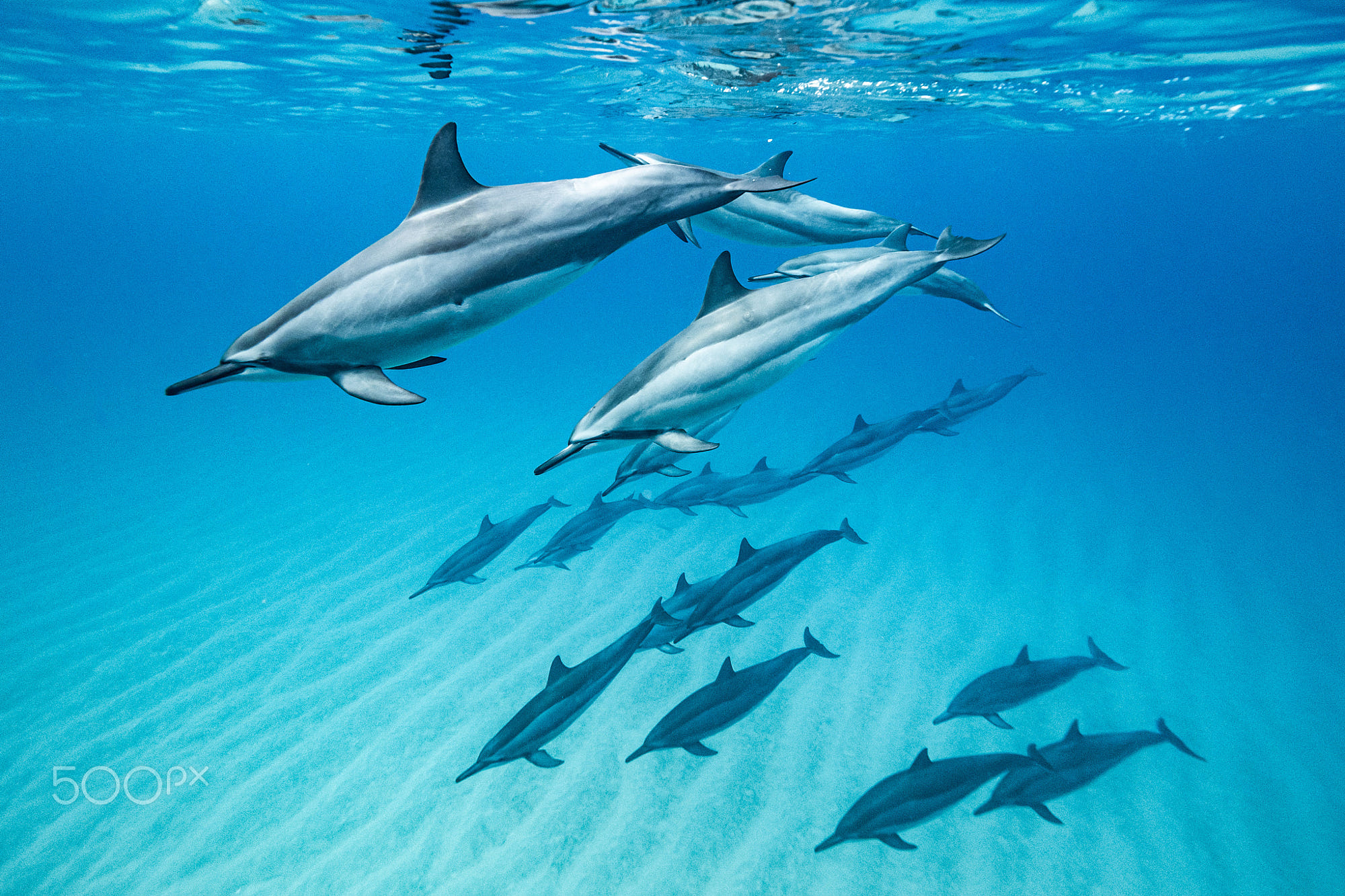 This Month: by 500px Ambassadors curated by 500px / 500px