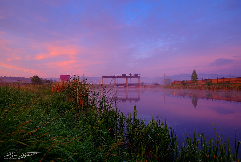 pond by Igor Goodkov / 500px