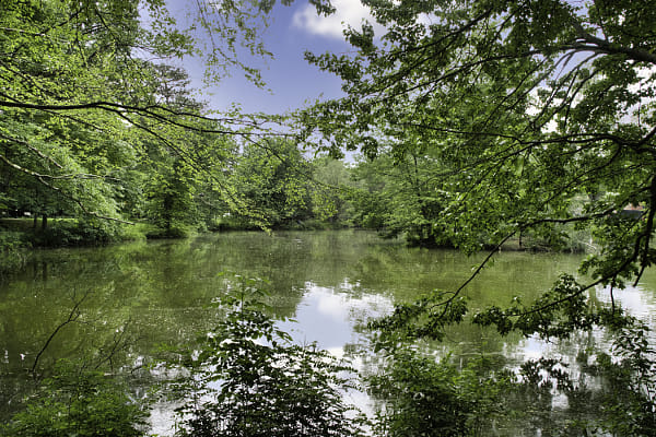 Mark Schottland (MarkSchottland) Profile / 500px