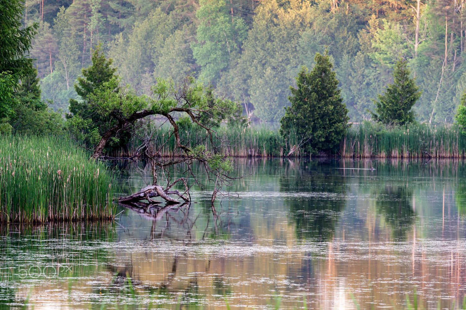 Still Waters by Kevin Gilbert / 500px