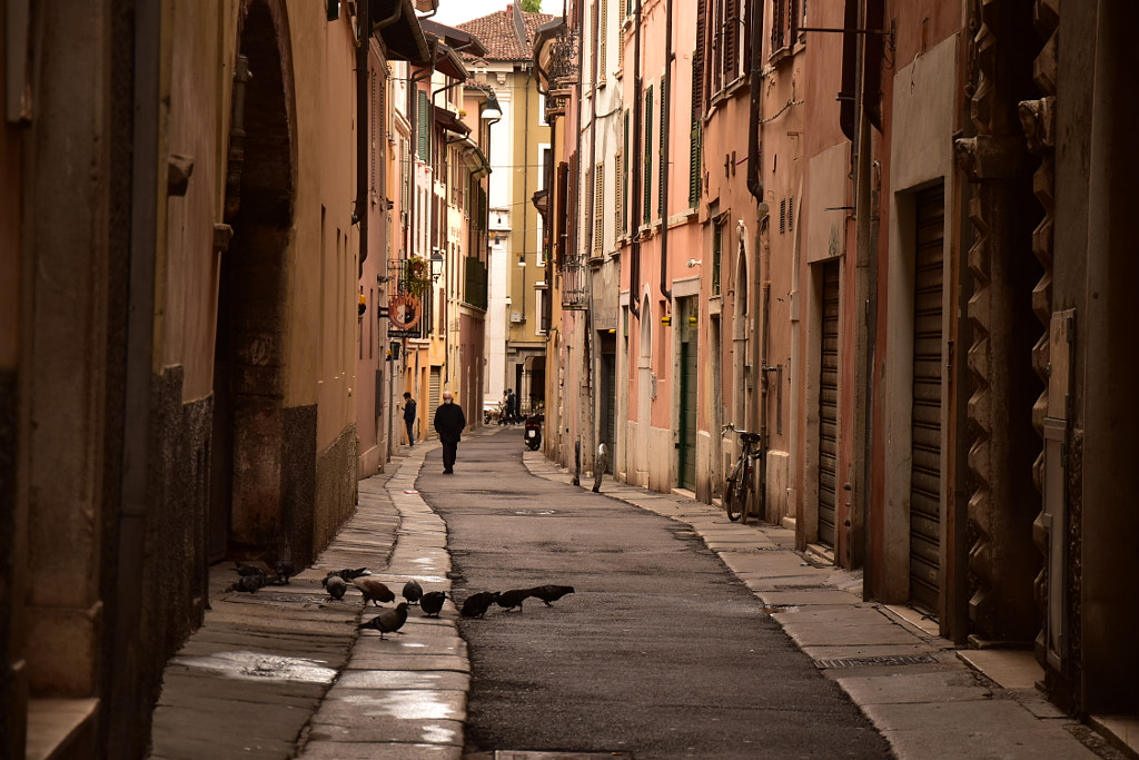 Alley by Carlotta Ricci / 500px