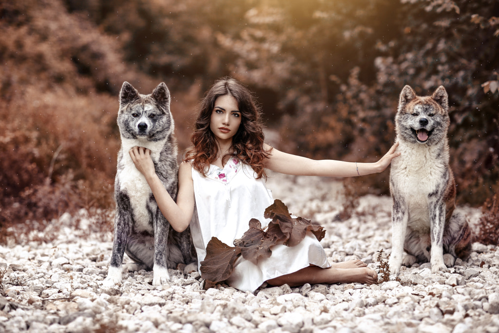 She wolf by Alessandro Di Cicco / 500px