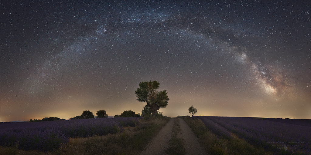 David & Goliath by Anthony Million / 500px