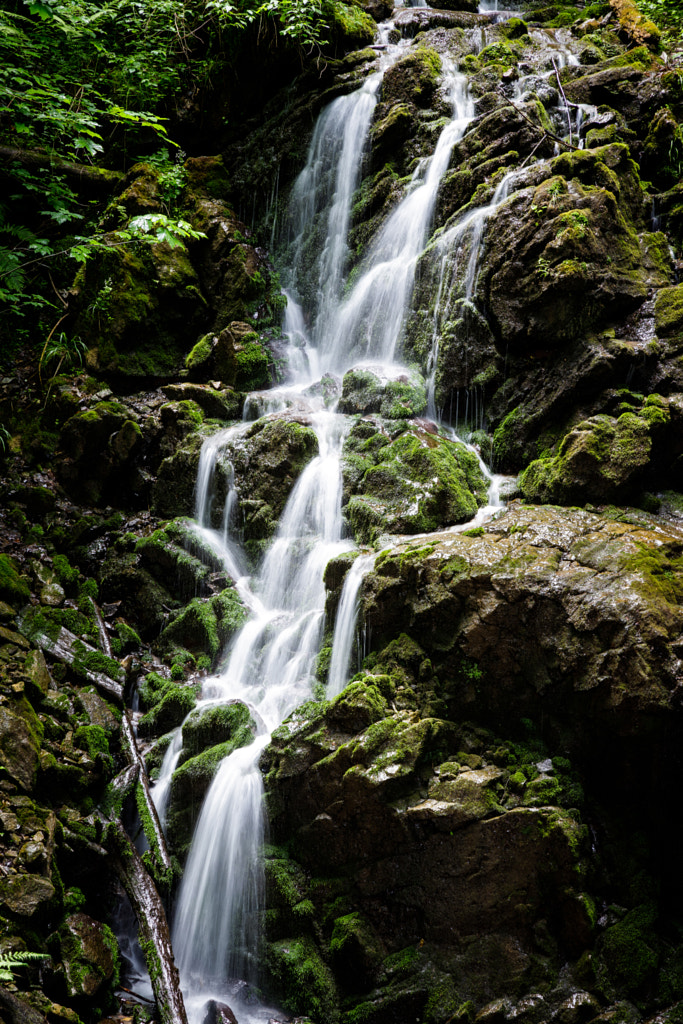 Bergheim Stream by Roger Gantner | 500px