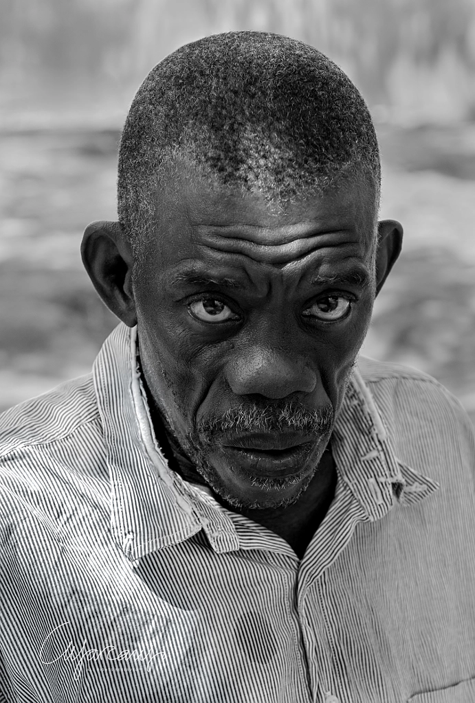 UNDER THE JAKA TREE by maria joão arcanjo / 500px