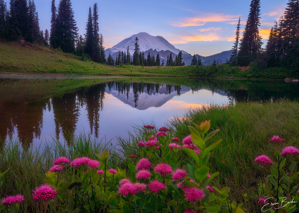 Mt. Rainier: Reflections, Sunset and Wildflowers by Erwin Buske / 500px