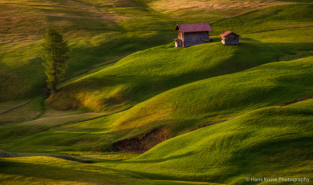 Tree with a house by Hans Kruse / 500px